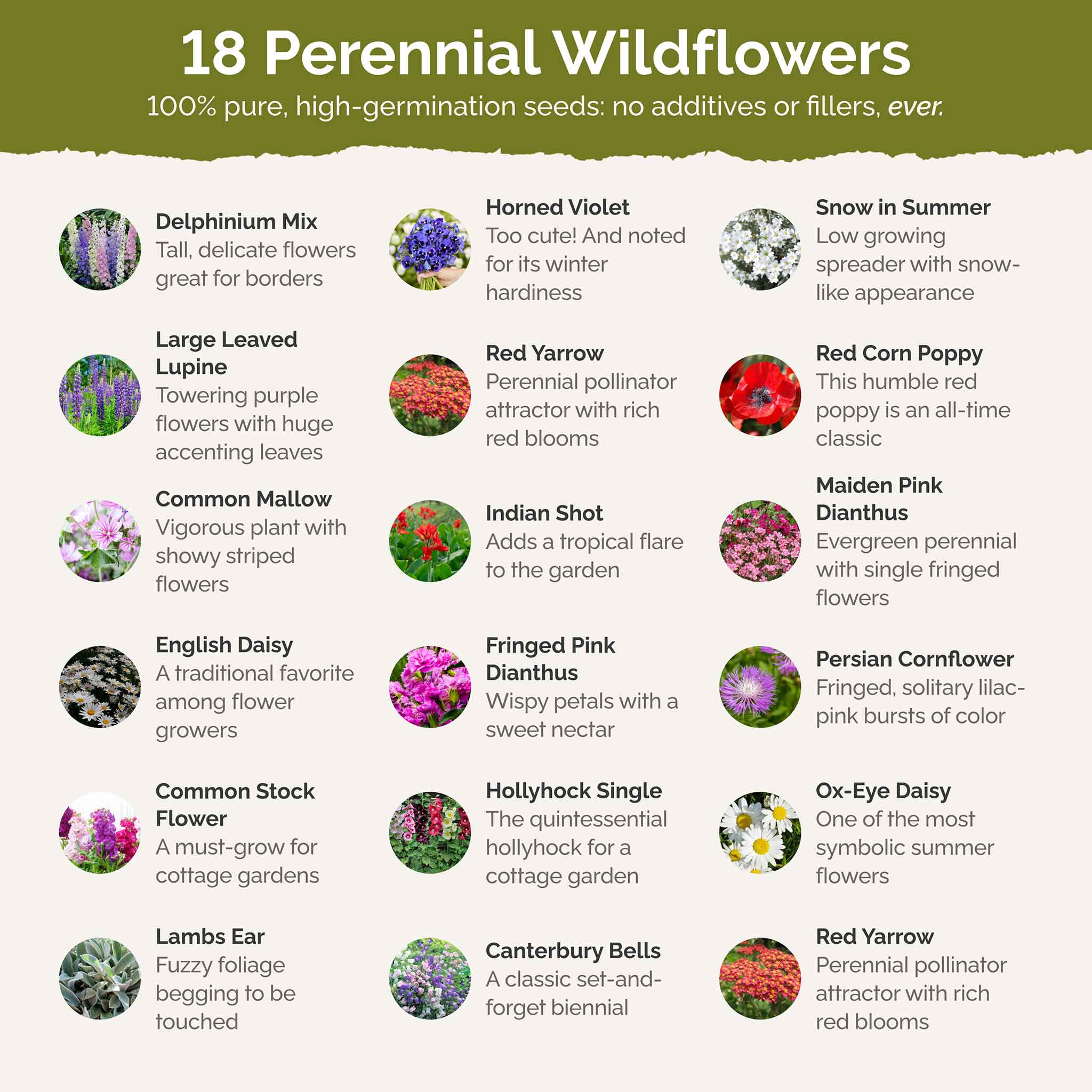 First Year Flowering Perennial Wildflower Seed Mix – Eden Brothers