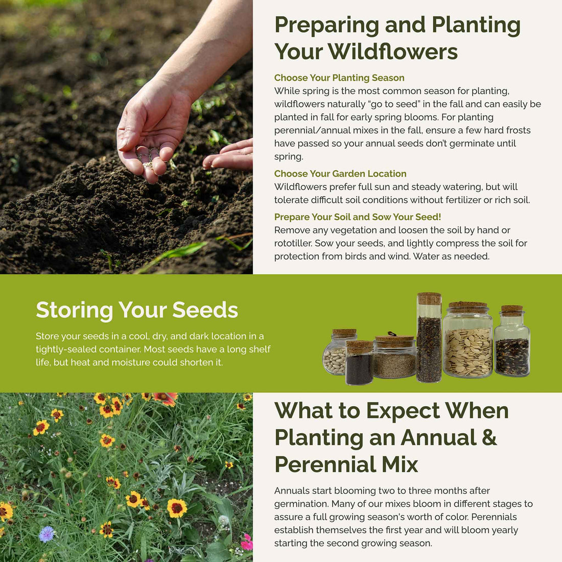 Florida Wildflower Seed Mix | Wildflower Seeds | Eden Brothers