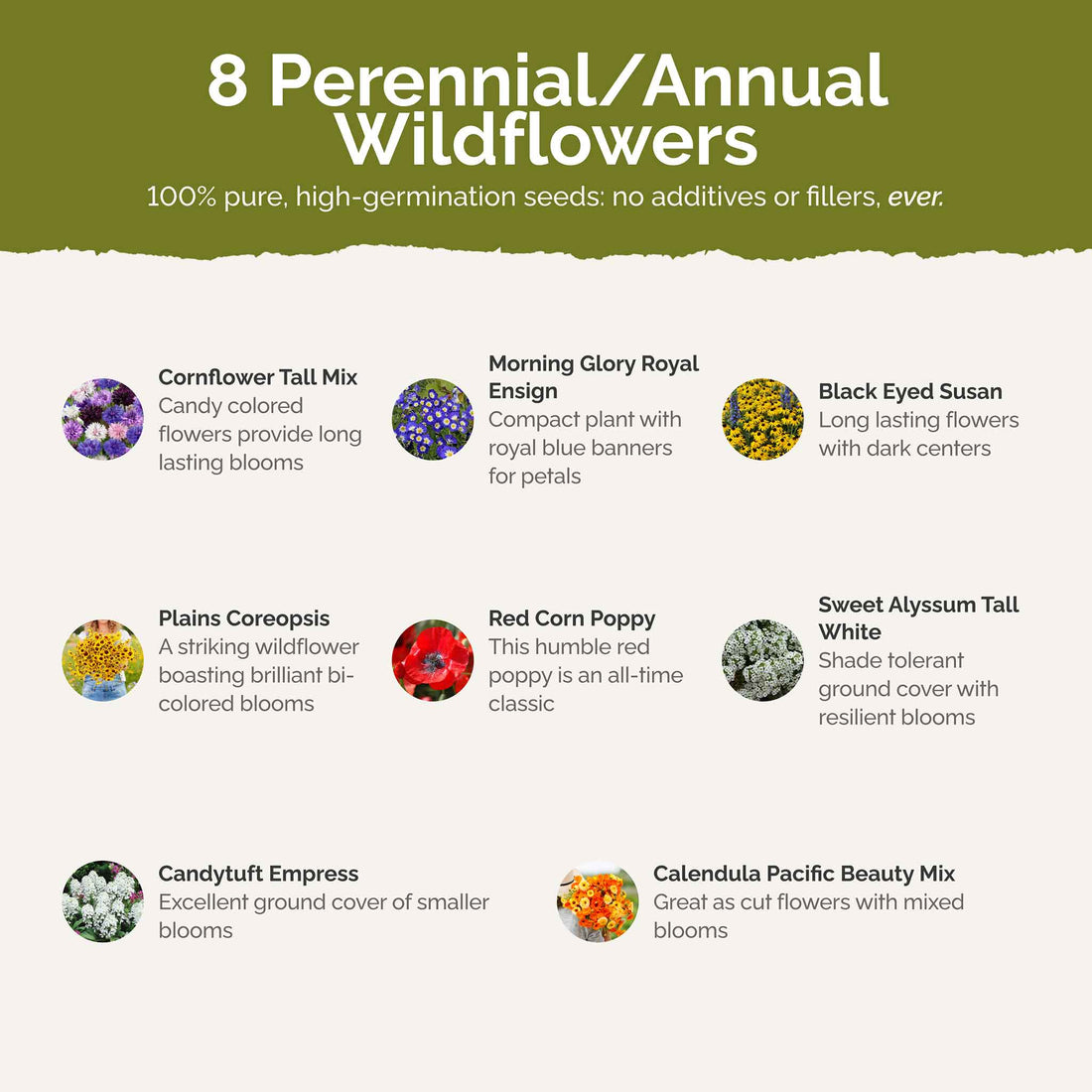 Flowery Fields Forever Flower Seed Mix | Wildflower Seeds | Eden Brothers