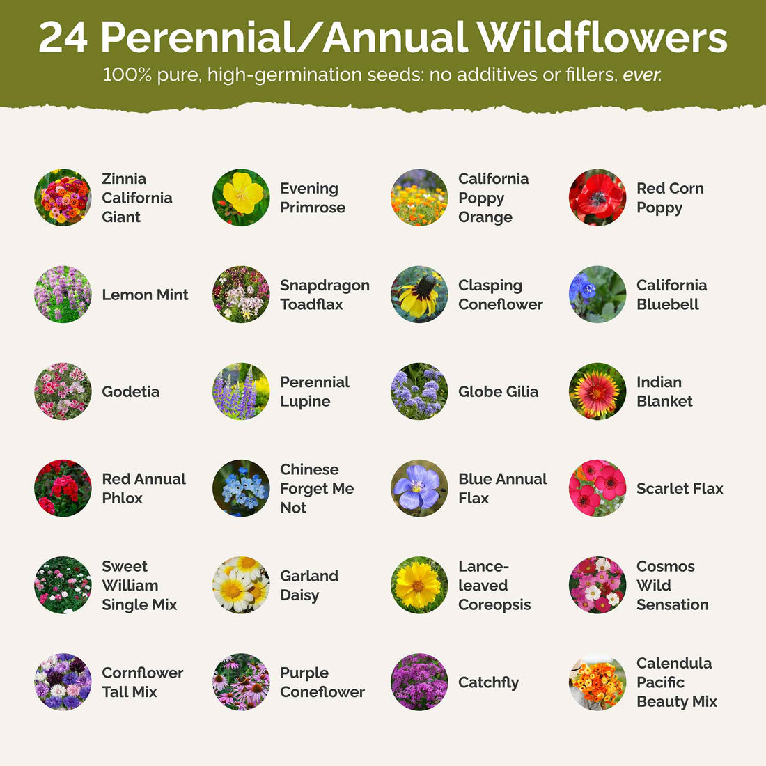 Heirloom Flower Seed Mix | Wildflower Seeds | Eden Brothers