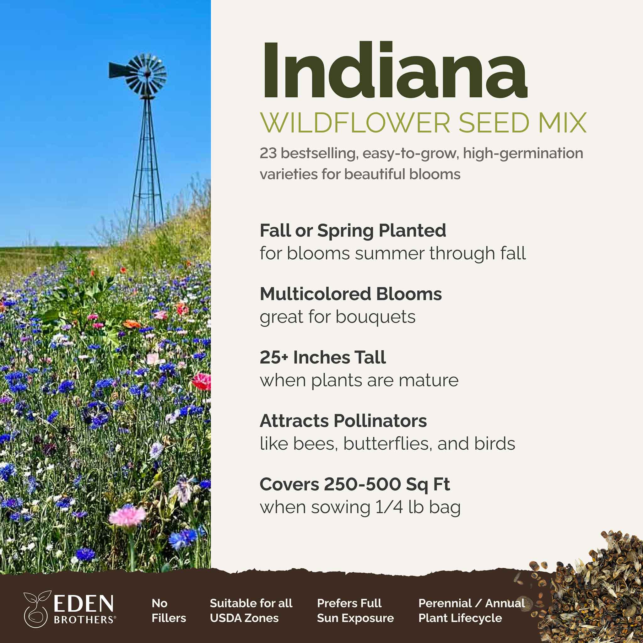 Indiana Wildflower Seed Mix | Wildflower Seeds | Eden Brothers