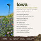 Iowa Wildflower Seed Mix | Wildflower Seeds | Eden Brothers