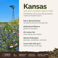 Kansas Wildflower Seed Mix | Wildflower Seeds | Eden Brothers