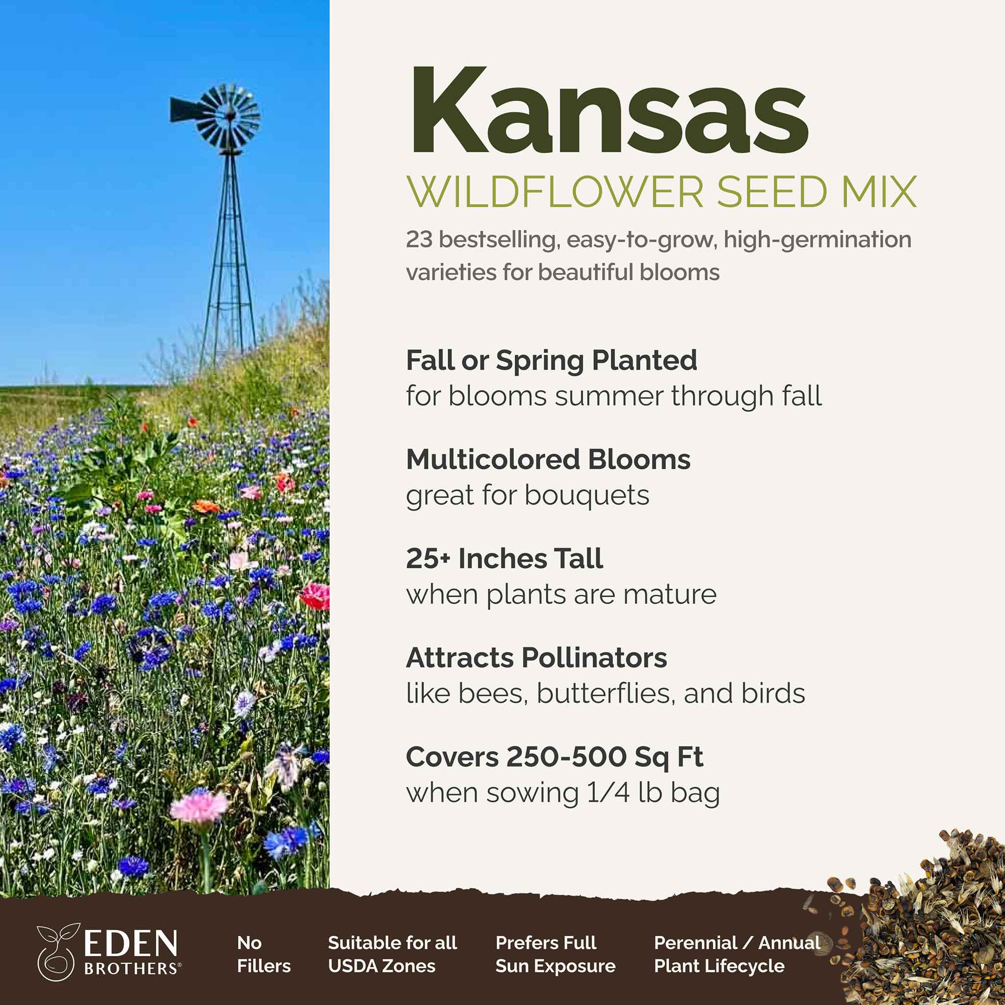 Kansas Wildflower Seed Mix | Wildflower Seeds | Eden Brothers