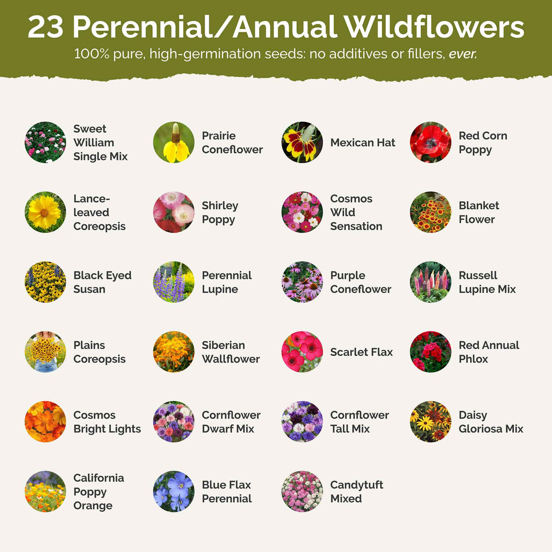 Kansas Wildflower Seed Mix | Wildflower Seeds | Eden Brothers