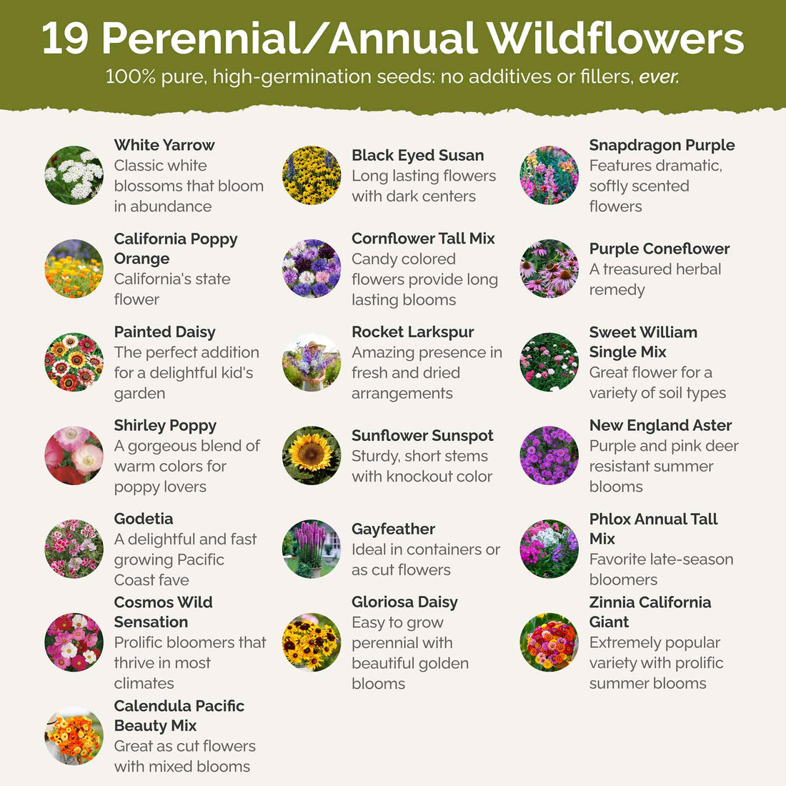 Late Bloomer - Fall Blooming Wildflower Seed Mix | Wildflower Seeds ...