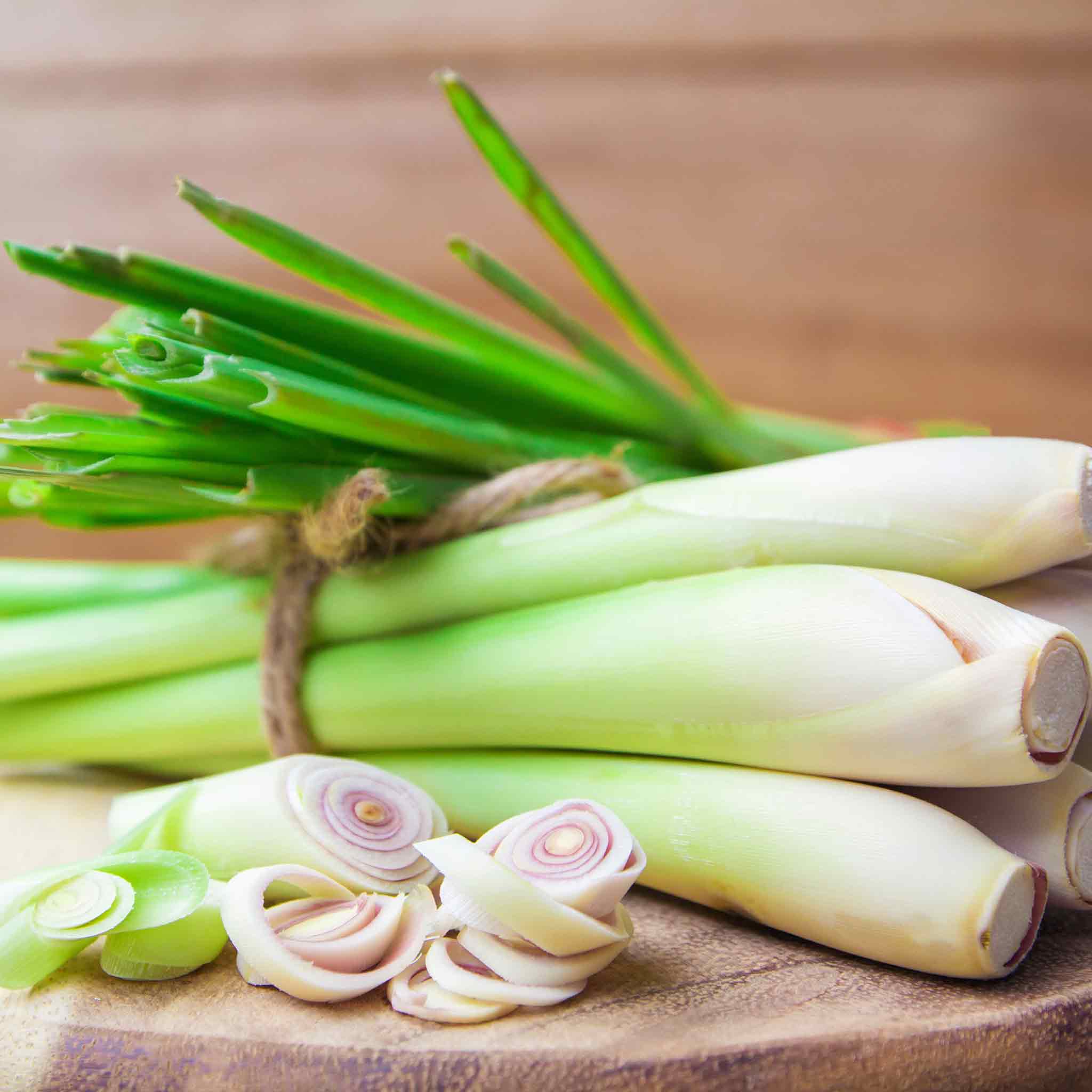 Lemongrass Seeds - West Indian | Flower Seeds | Eden Brothers