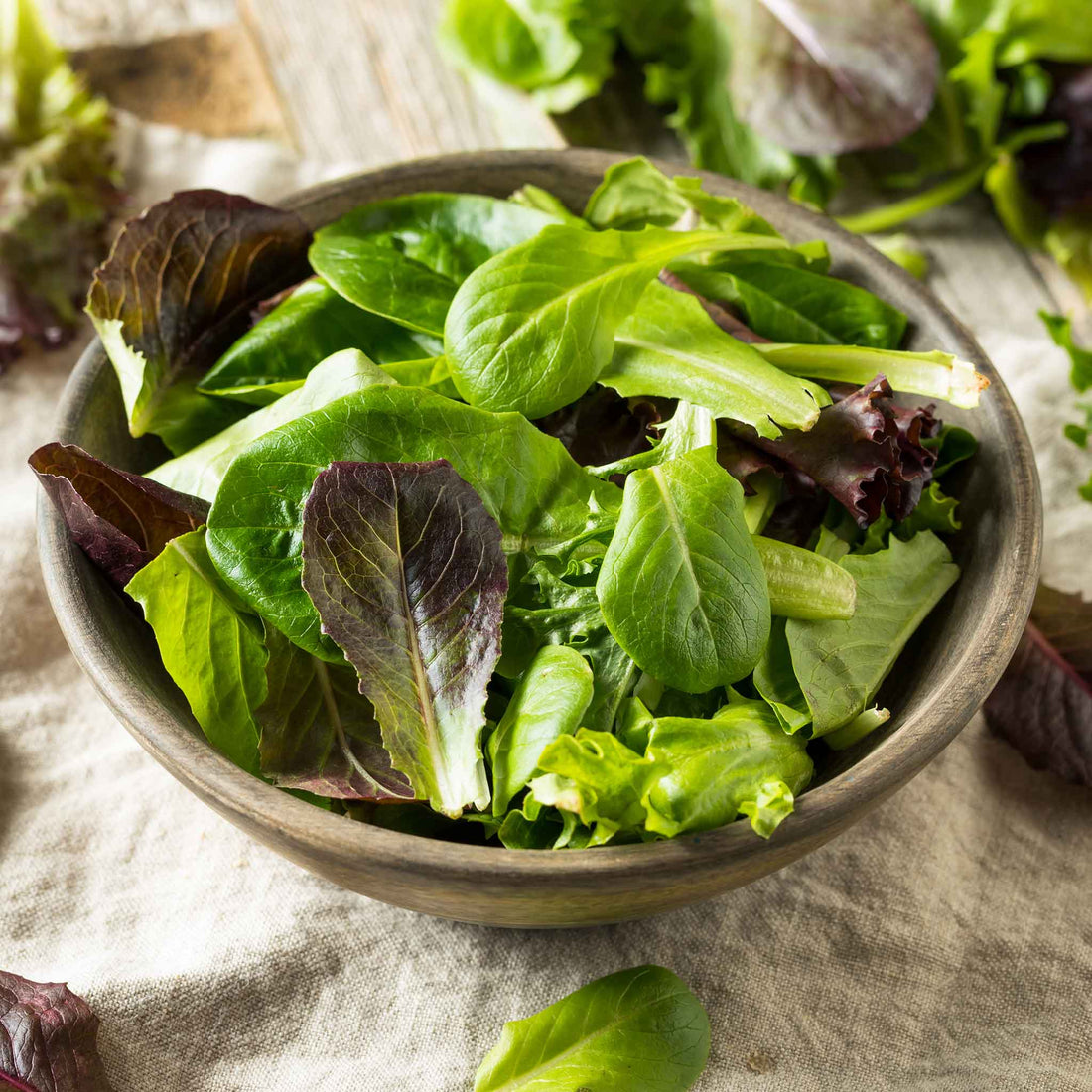 Organic Lettuce Seeds - Tricolor Romaine Mix | Vegetable Seeds in ...