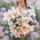 Lily Bulbs - Coral County | Flower Bulbs | Eden Brothers