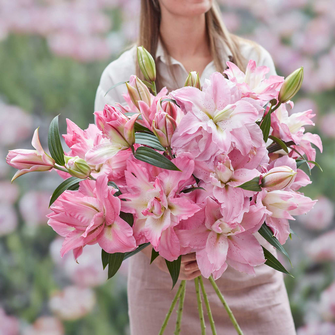 Lily Bulbs - Double Pink Mix | Flower Bulbs | Eden Brothers