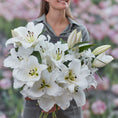 Lily Bulbs - Giant OT Zambesi | Flower Bulbs | Eden Brothers