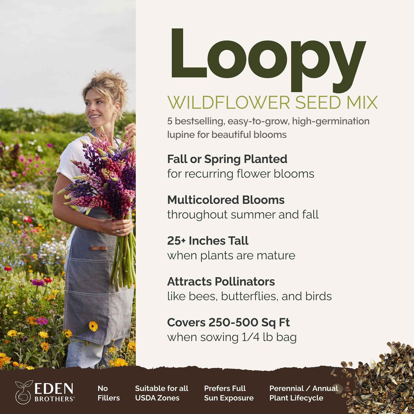 Loopy - Lupine Flower Seed Mix – Eden Brothers