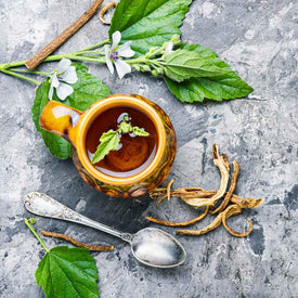 Rare Seeds (Heirloom) | 69 Varieties | Rare and Unusual Seeds from Eden ...