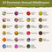 Massachusetts Wildflower Seed Mix | Wildflower Seeds | Eden Brothers