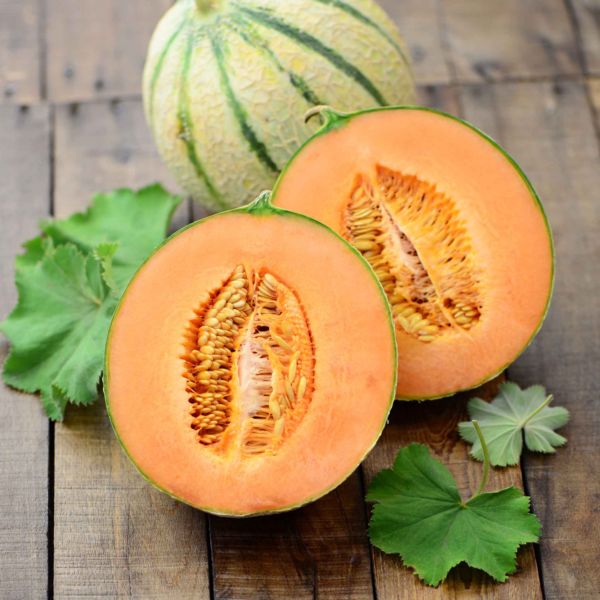 Melon Seeds - Honeydew Orange | Vegetable Seeds in Packets & Bulk ...