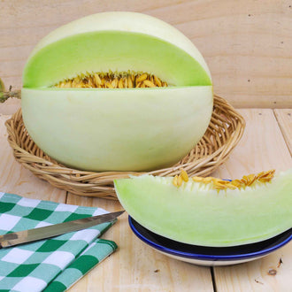 Melon Seeds | Shop 38 Varieties | Eden Brothers