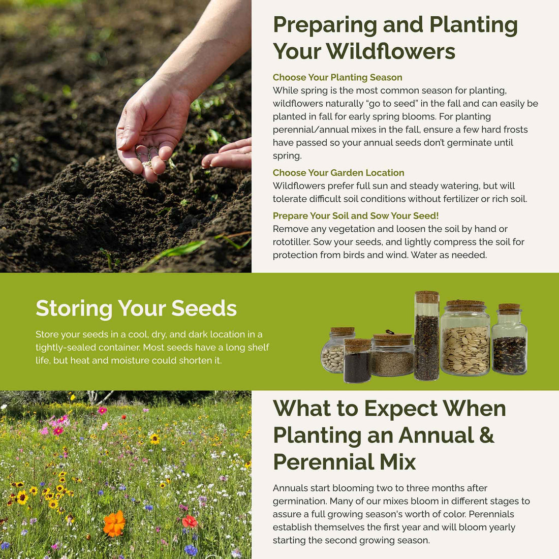 Michigan Wildflower Seed Mix | Wildflower Seeds | Eden Brothers