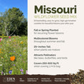 Missouri Wildflower Seed Mix | Wildflower Seeds | Eden Brothers