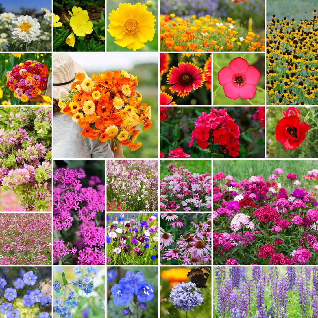 Heirloom Flower Seed Mix | Wildflower Seeds | Eden Brothers