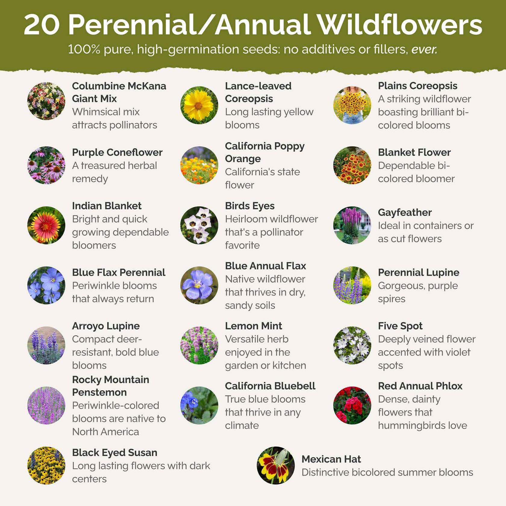 North American Native Wildflower Seed Mix – Eden Brothers