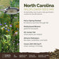 North Carolina Wildflower Seed Mix | Wildflower Seeds | Eden Brothers