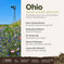 Ohio Wildflower Seed Mix | Wildflower Seeds | Eden Brothers