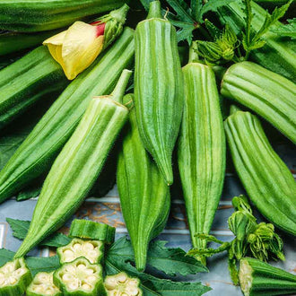 Okra Seeds | Shop 13 Varieties | Eden Brothers