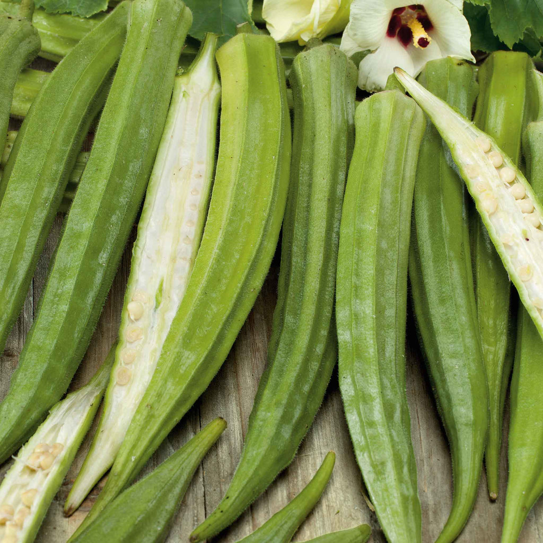 Okra Seeds - Cow Horn | Vegetable Seeds in Packets & Bulk | Eden Brothers
