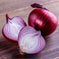 Onion Seeds - Ruby Red | Vegetable Seeds in Packets & Bulk | Eden Brothers