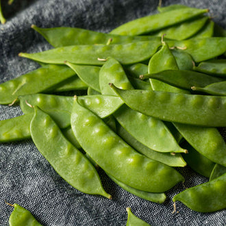 Pea Seeds | Shop 21 Varieties | Eden Brothers