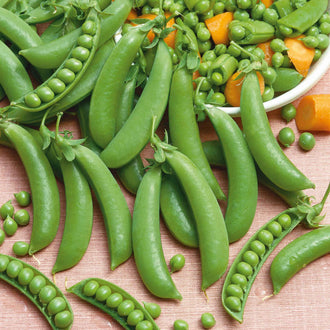 Pea Seeds | Shop 21 Varieties | Eden Brothers