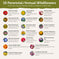 Pennsylvania Wildflower Seed Mix | Wildflower Seeds | Eden Brothers