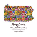 Pennsylvania Wildflower Seed Mix | Wildflower Seeds | Eden Brothers