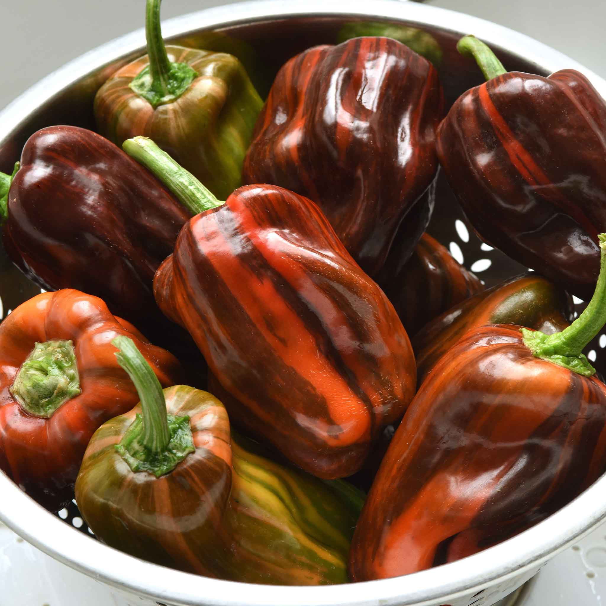 Sweet Pepper Seeds - Candy Cane Chocolate Cherry | Vegetable Seeds in ...