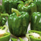 Organic Sweet Pepper Seeds - Emerald Giant | Vegetable Seeds in Packets ...
