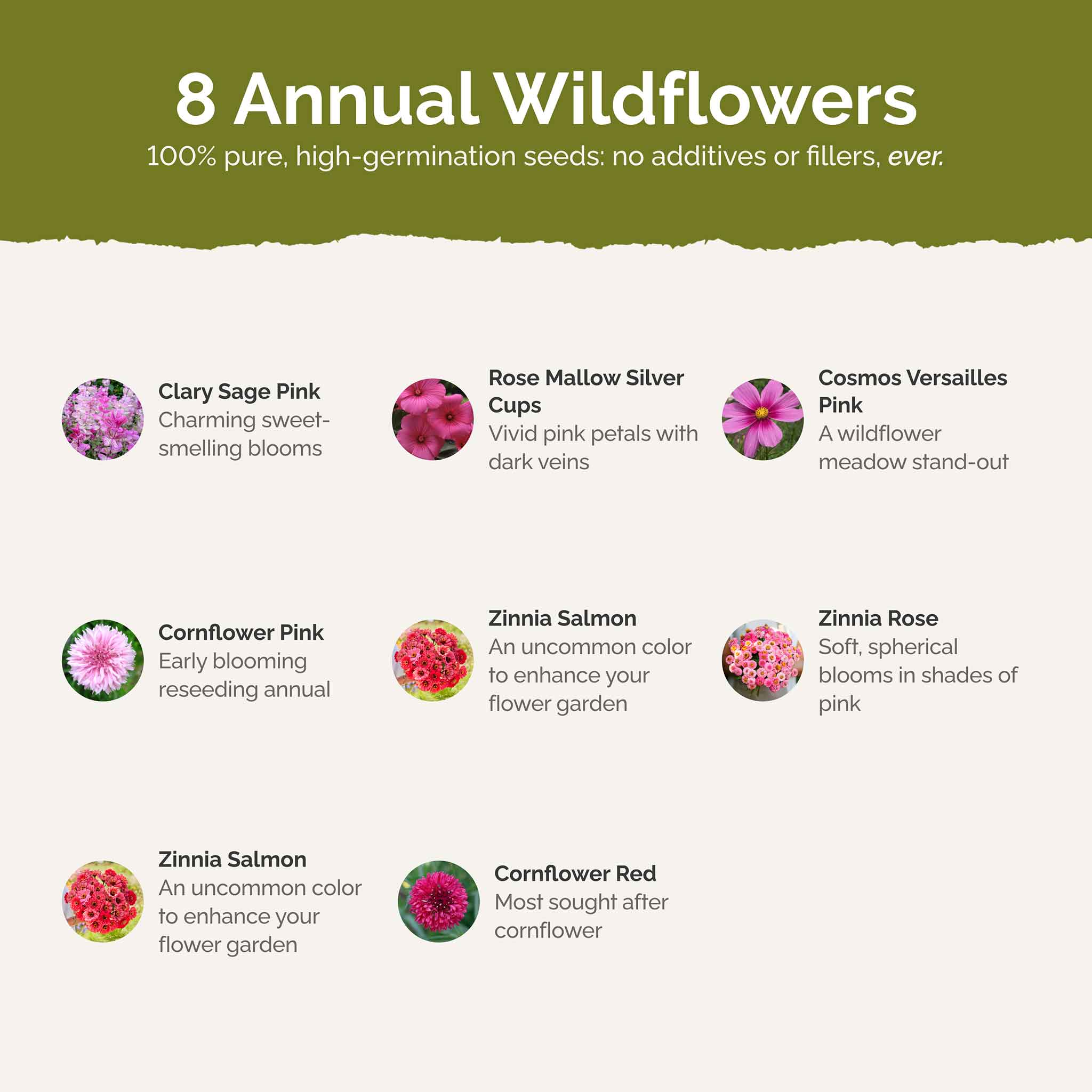 Pink Perfection Flower Seed Mix | Wildflower Seeds | Eden Brothers