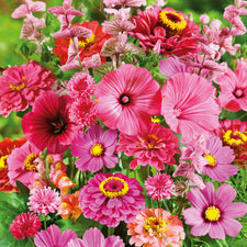 Flower & Wildflower Mixes | Shop 120 Varieties | Eden Brothers – Page 5