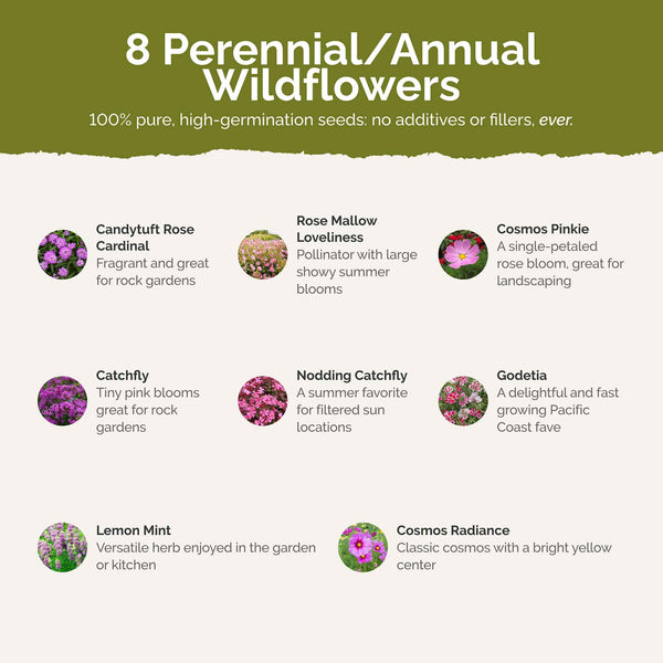 Pretty In Pink - Exclusive Pink Wildflower Seed Mix | Wildflower Seeds ...