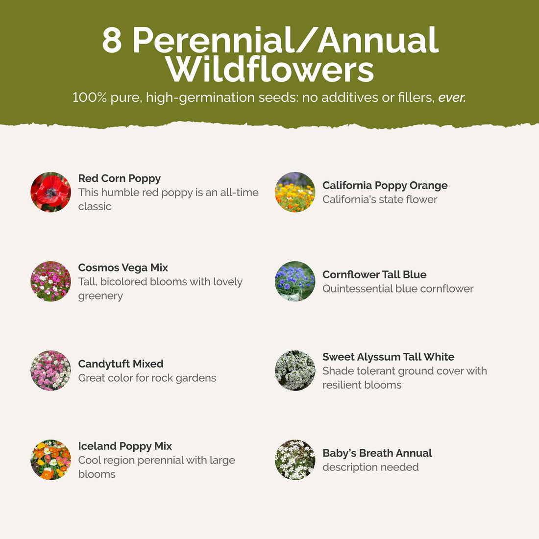 Rugged Beauty Seed Mix | Flower Seeds | Eden Brothers