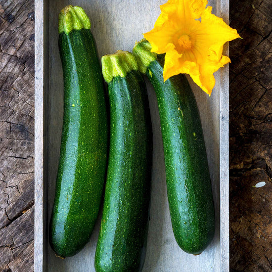 Summer Squash Seeds - Fordhook Zucchini | Vegetable Seeds in Packets ...
