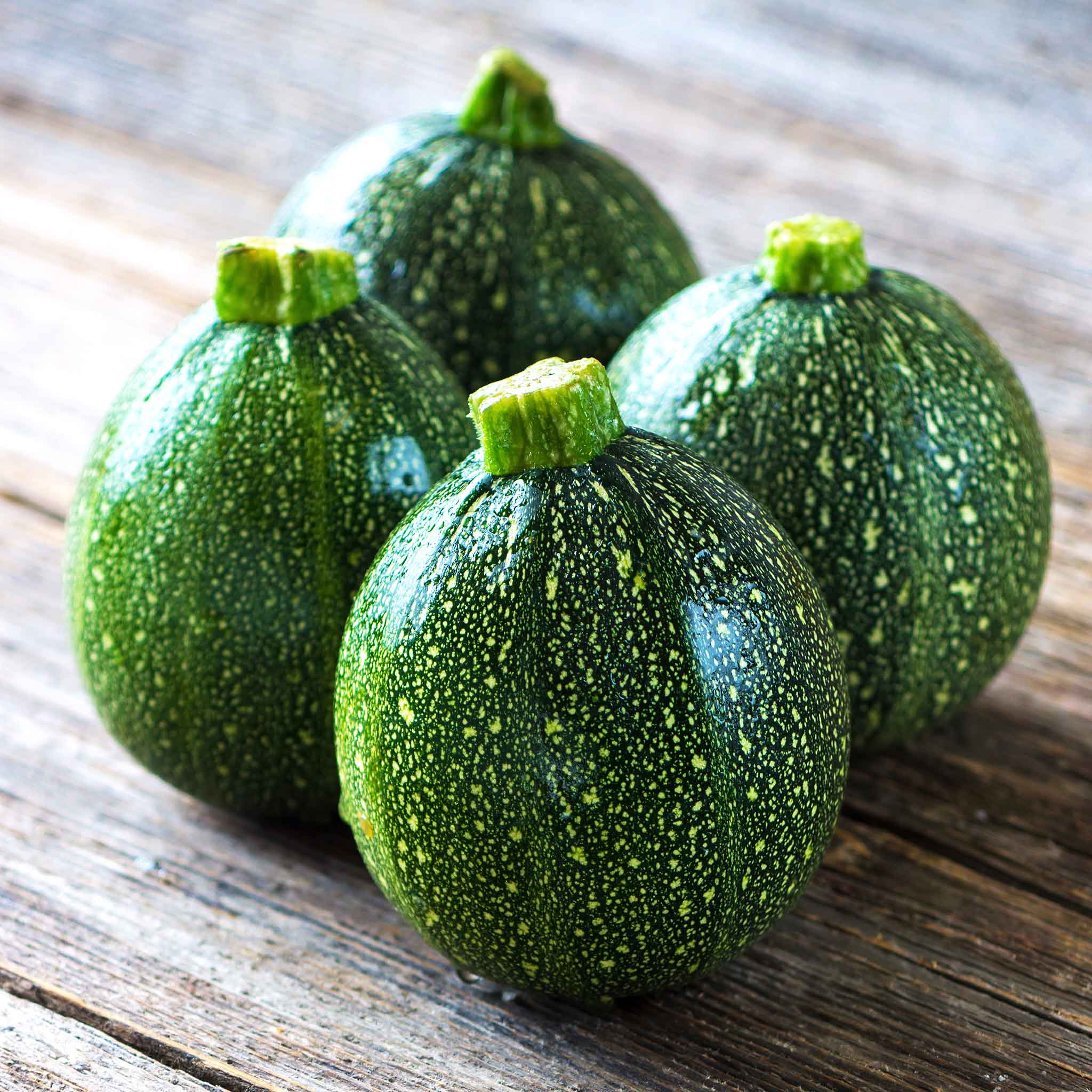 Summer Squash Seeds - Round Zucchini | Vegetable Seeds in Packets ...