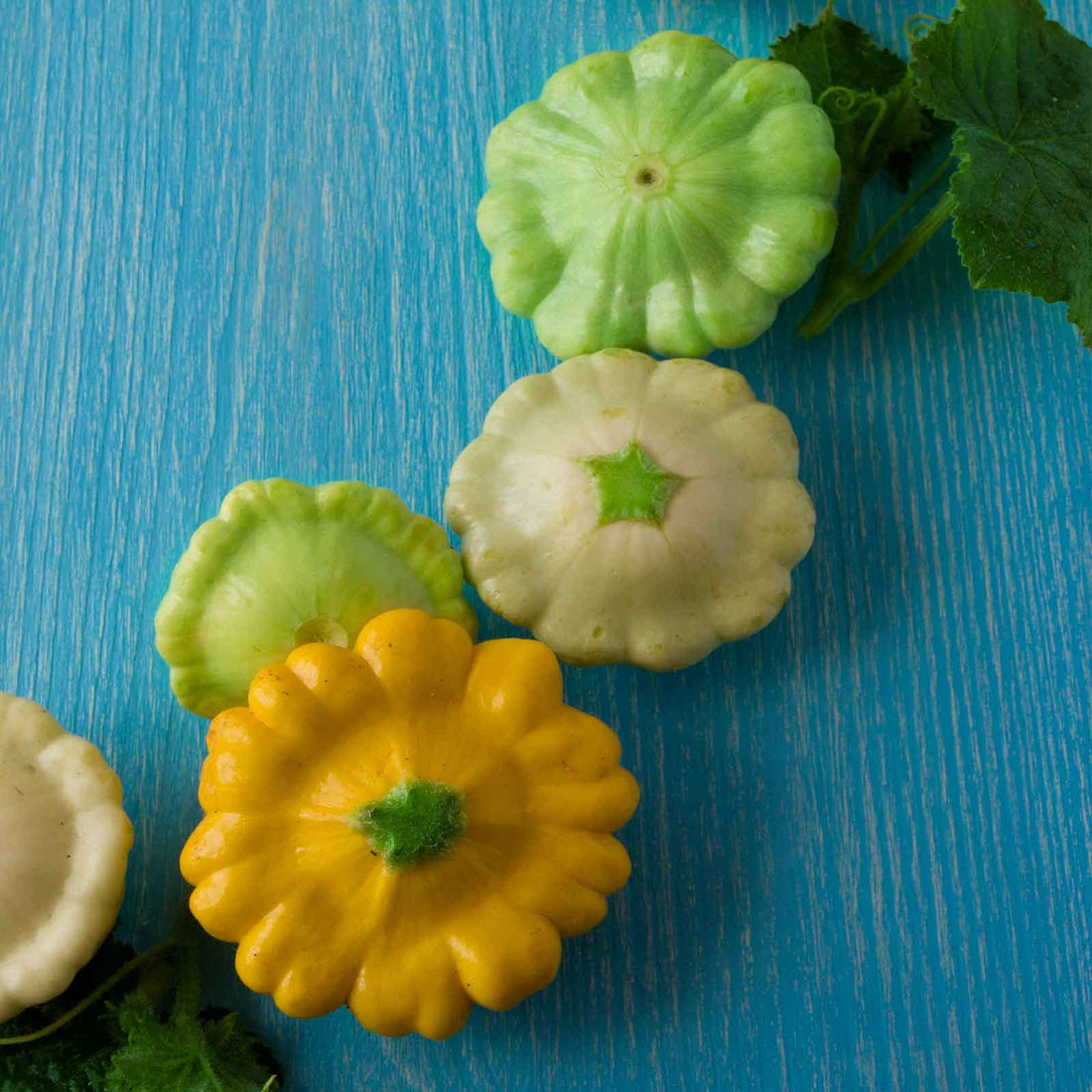 Summer Squash Seeds - Scallop Blend | Vegetable Seeds in Packets & Bulk ...