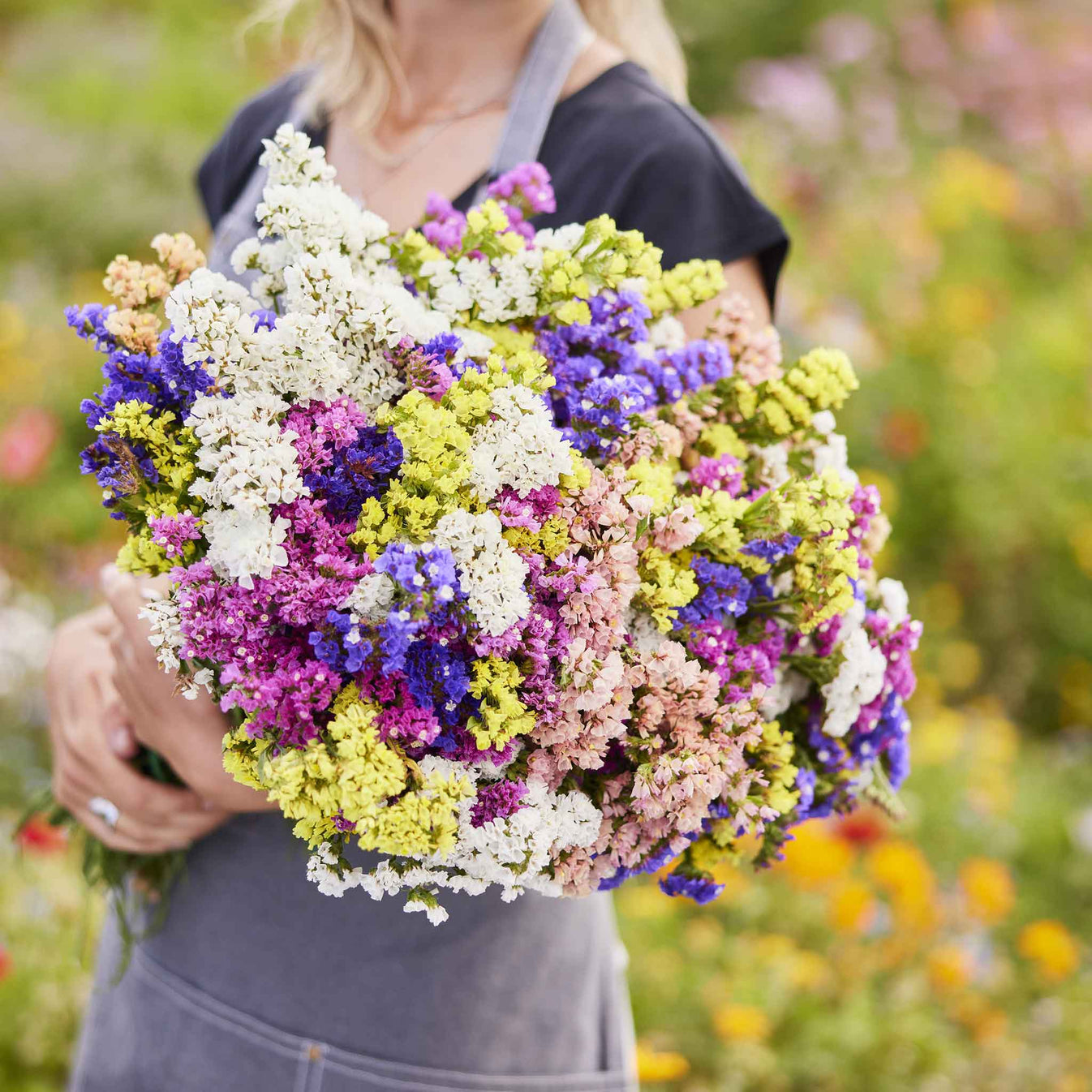 Statice Seeds - Pacific Mix | Flower Seeds in Packets & Bulk | Eden ...