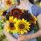 Sunflower Seeds - Magic Roundabout | Flower Seeds in Packets & Bulk ...