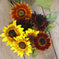 Sunflower Seeds - Magic Roundabout | Flower Seeds in Packets & Bulk ...