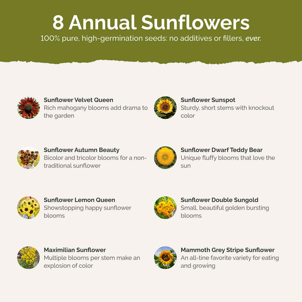 Sunny - Sunflower Seed Mix | Wildflower Seeds | Eden Brothers