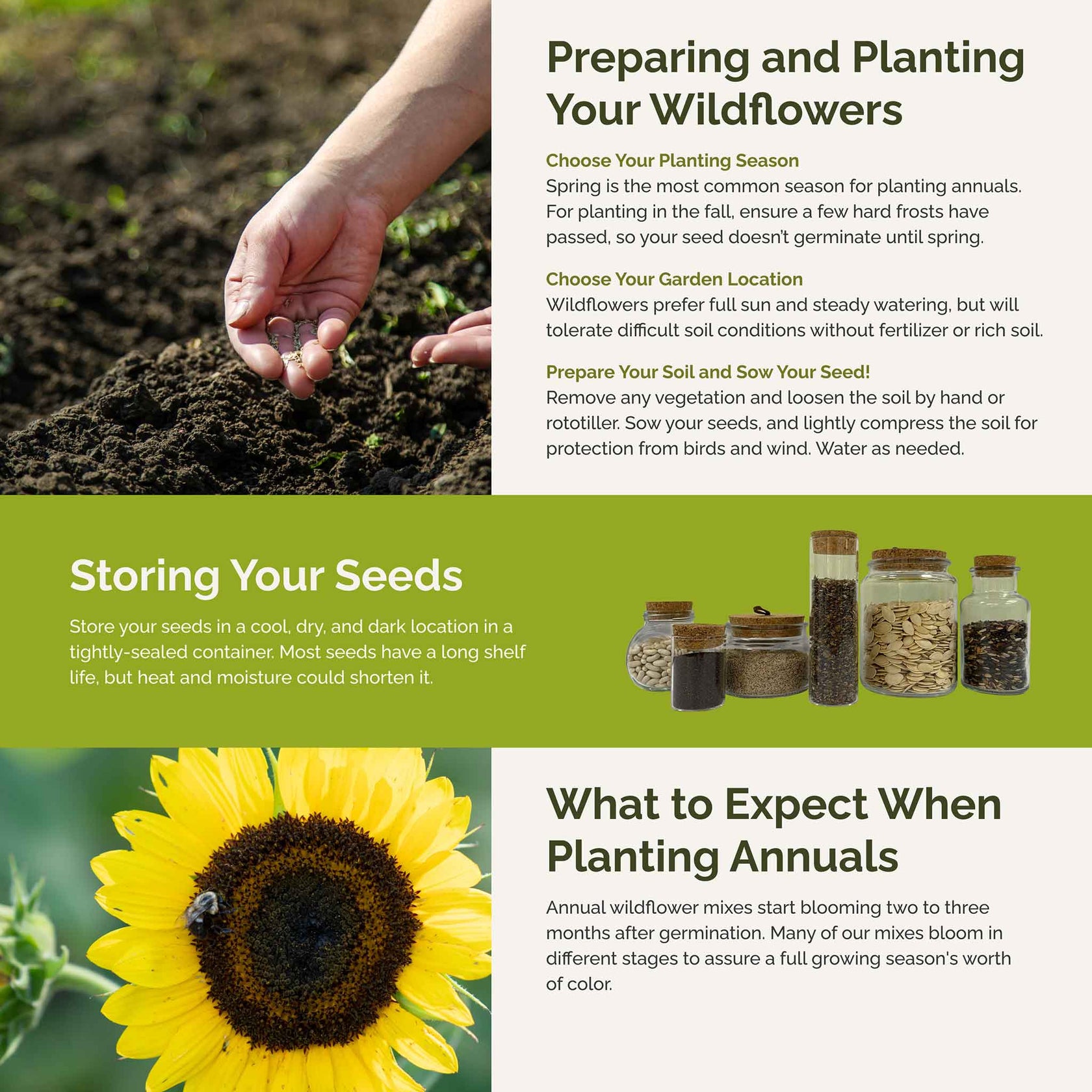 Sunny - Sunflower Seed Mix | Wildflower Seeds | Eden Brothers