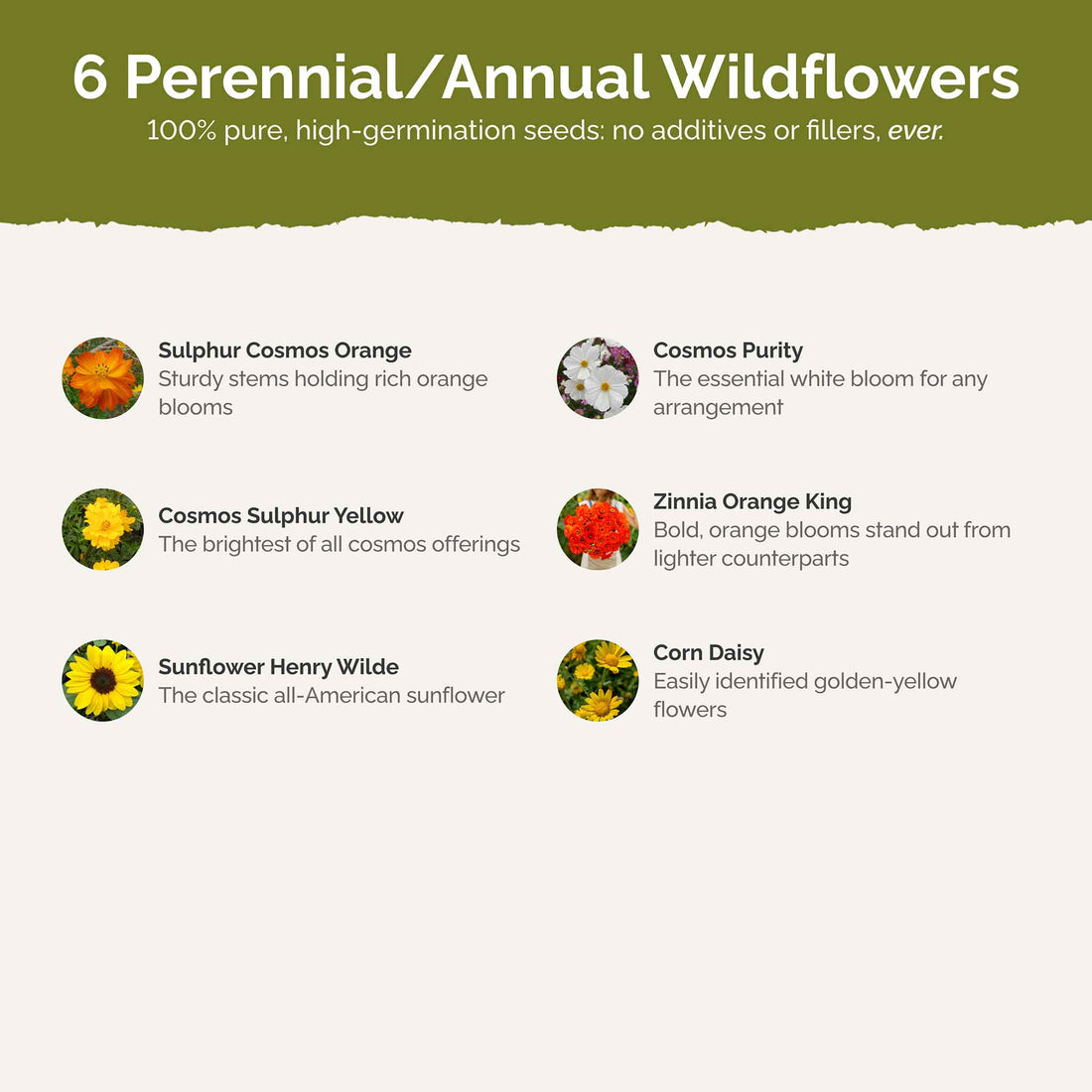 Sunset Mix - Orange, Yellow & White Flower Seed Mix | Wildflower Seeds ...
