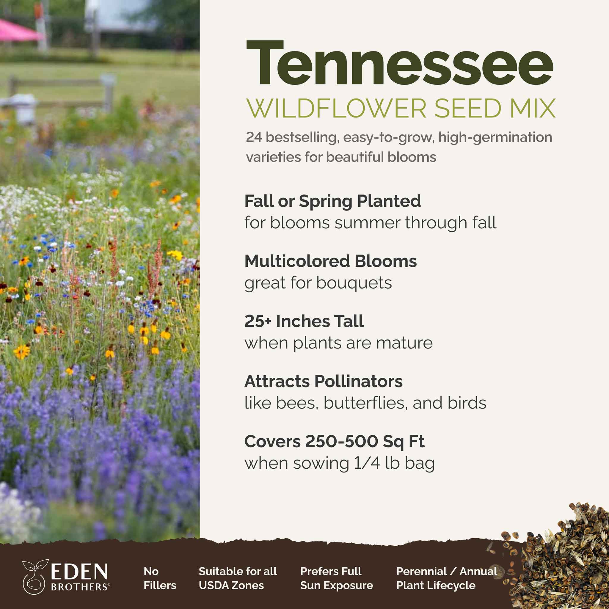 Tennessee Wildflower Seed Mix | Wildflower Seeds | Eden Brothers