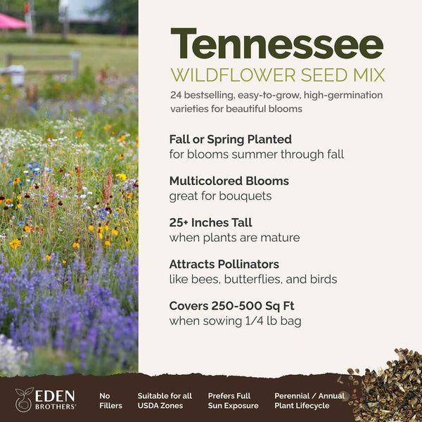 Tennessee Wildflower Seed Mix | Wildflower Seeds | Eden Brothers